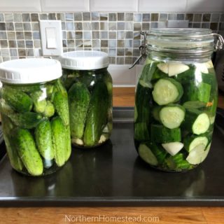 How To Make Lightly Salted Half-Sour Pickles - Northern Homestead