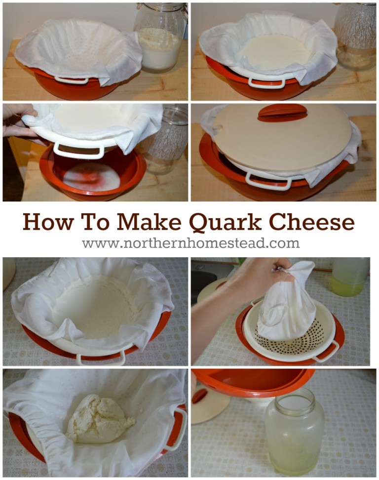How To Make Quark Cheese at Home - Northern Homestead