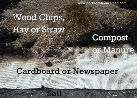 No-Till Gardening Methods to Start a New Garden - Northern Homestead