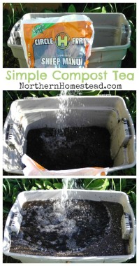 How to Make Simple Compost Tea (Extract) - Northern Homestead