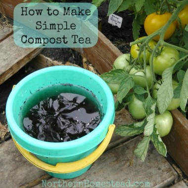 How to Make Simple Compost Tea (Extract) - Northern Homestead