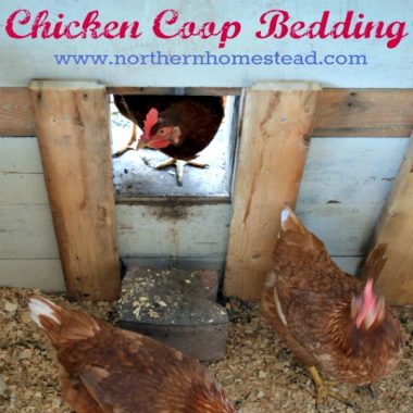 Chicken Coop Bedding - Northern Homestead