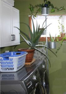 Everything you need to know about line dry laundry - Northern Homestead