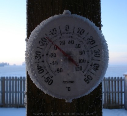 Hoar Frost and Rime Ice Beauty - Northern Homestead