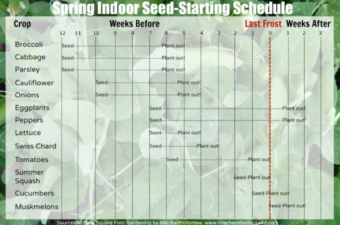 Spring Indoor Seed-Starting Schedule - Free Printable - Northern Homestead