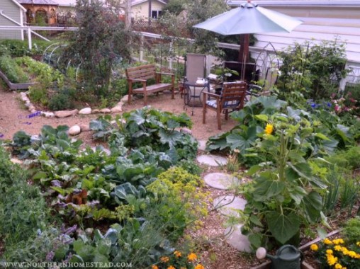 Early spring direct garden planting - Northern Homestead