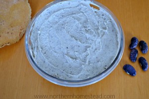 Growing Food - Scarlet Runner Beans (Recipe) - Northern Homestead