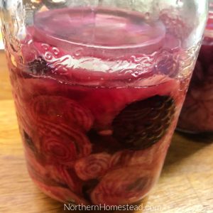 Fermenting is Simple - Learn the Basics - Northern Homestead