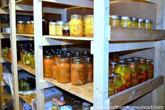 Start Homesteading - Northern Homestead
