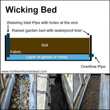 DIY Self-Watering Wicking Bed for the Greenhouse - Northern Homestead