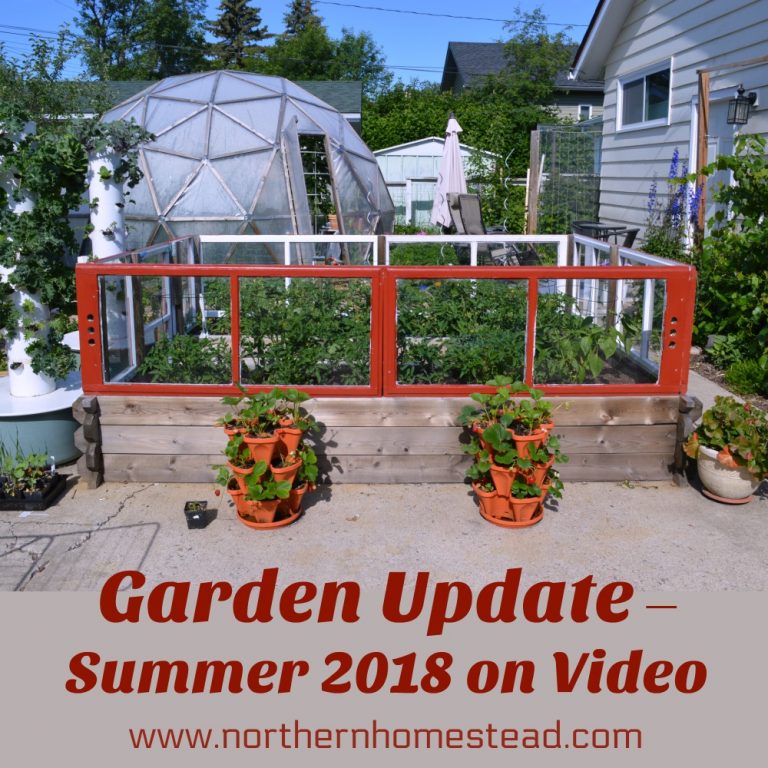Summer garden update on video