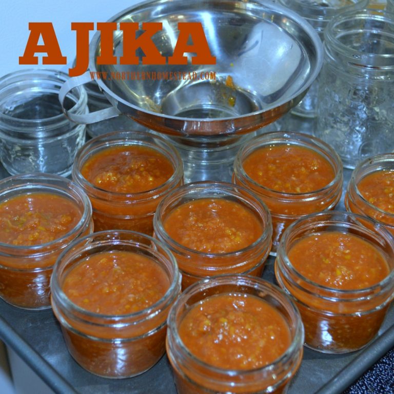 Homemade ajika salsa recipe