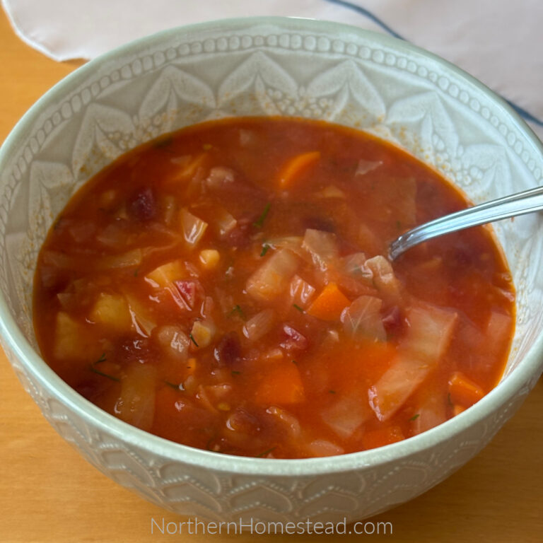 Cabbage Borscht Soup Recipe - Northern Homestead