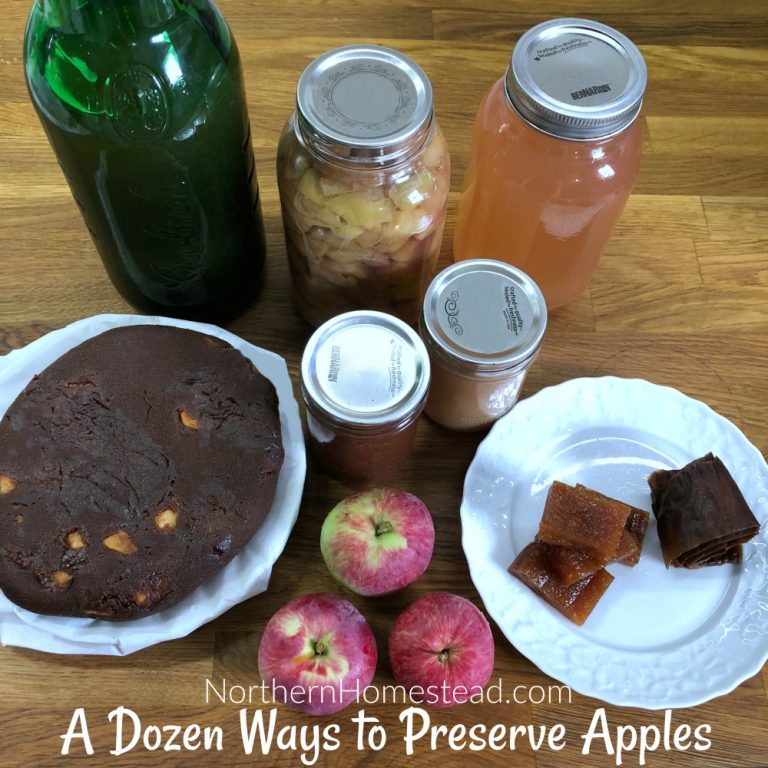 A Dozen Ways to Preserve Apples - Northern Homestead