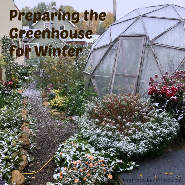 How To Build A Geodesic Dome Greenhouse (DIY GeoDome) - Northern Homestead