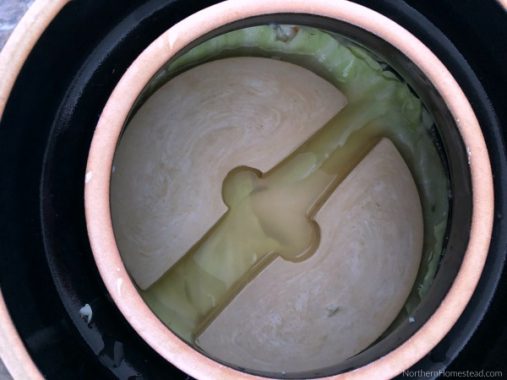 Using a Water-Sealed Fermentation Crockpot - Northern Homestead