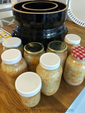 Using a Water-Sealed Fermentation Crockpot - Northern Homestead
