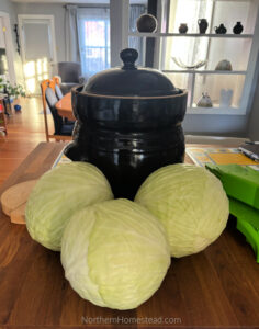 How to Make Sauerkraut Using a Water-Sealed Fermentation Crock ...