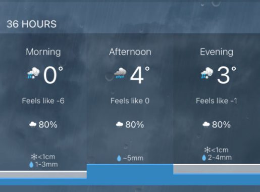 Plant Protection From Frost - Northern Homestead