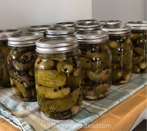 German Dill Pickles Recipe - Northern Homestead