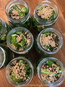 German Dill Pickles Recipe - Northern Homestead