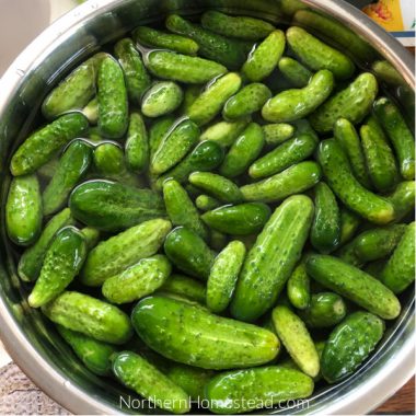 German Dill Pickles Recipe - Northern Homestead