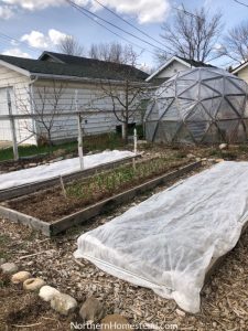 Cold Spring Challenge in the Garden - Northern Homestead