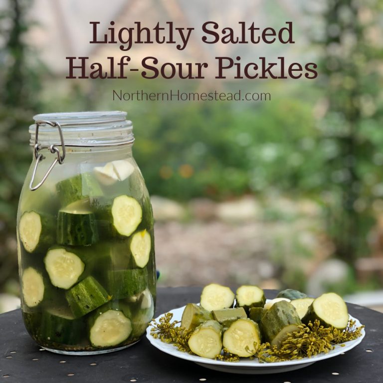 How To Make Lightly Salted Half-Sour Pickles - Northern Homestead