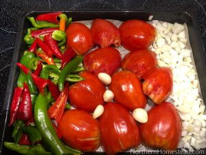 Ranchera Salsa Recipe - Northern Homestead