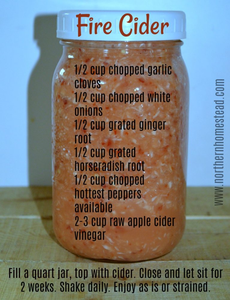 Making Homemade Fire Cider - Northern Homestead