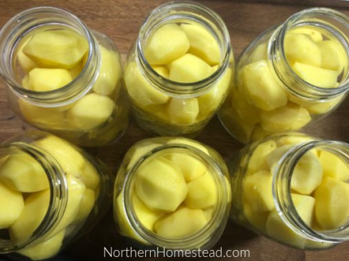Pressure Canning Potatoes the Raw Pack or Hot Pack Method - Northern ...
