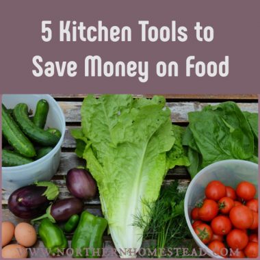 5 Kitchen Tools to Save Money on Food - Northern Homestead