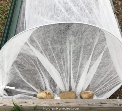 How to Make a Hoop Bed (Row Cover Tunnel) - Northern Homestead