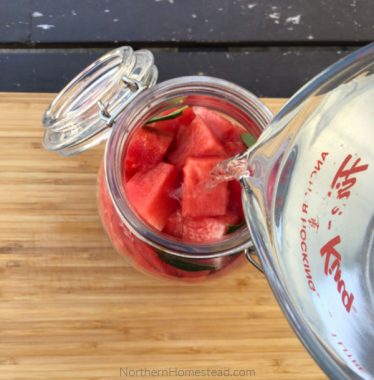 Fermented Watermelon Recipe - Northern Homestead