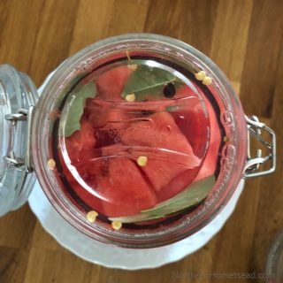 Fermented Watermelon Recipe - Northern Homestead
