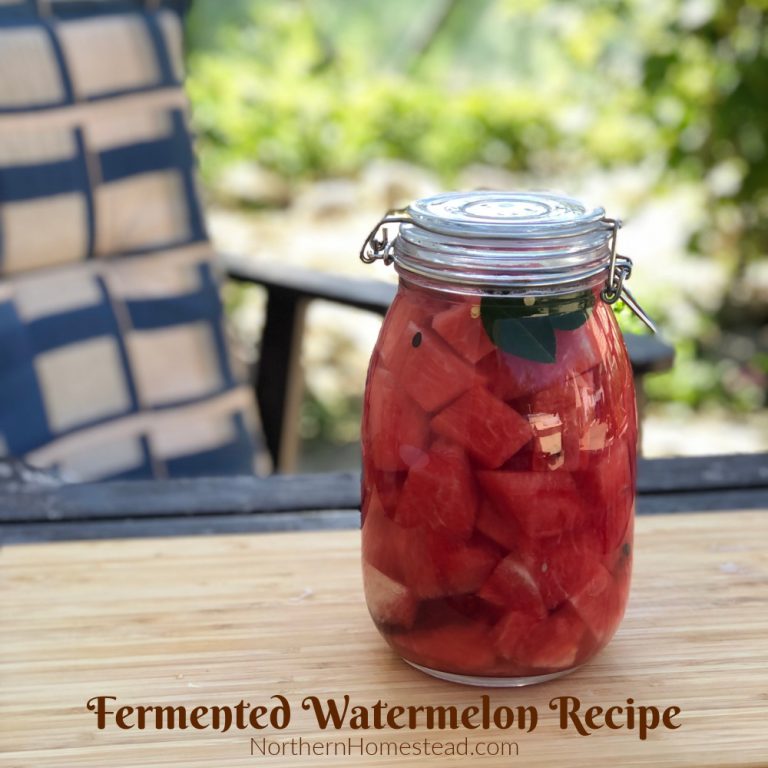 Fermented Watermelon Recipe - Northern Homestead