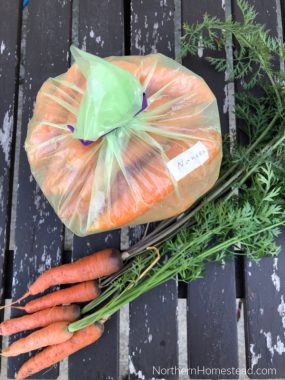 A Dozen Ways to Preserve Carrots - Northern Homestead