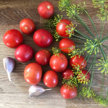 Fermented Cherry Tomatoes - Northern Homestead