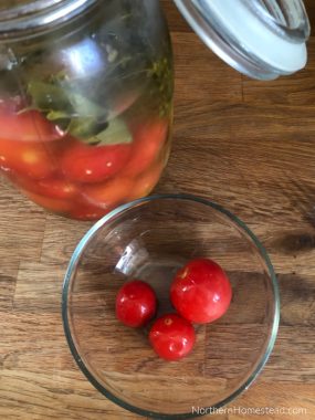 Fermented Cherry Tomatoes - Northern Homestead