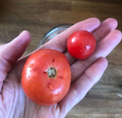 Fermented Cherry Tomatoes - Northern Homestead