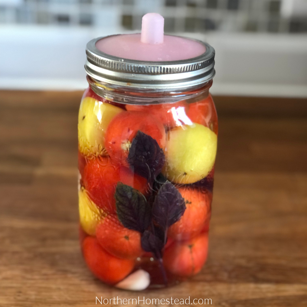 Fermented Tomatoes - Northern Homestead