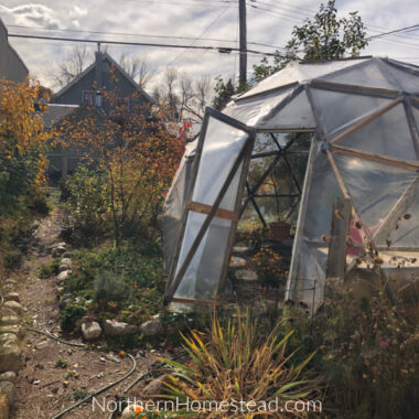 Preparing the Garden for Winter in a Cold Climate - Northern Homestead