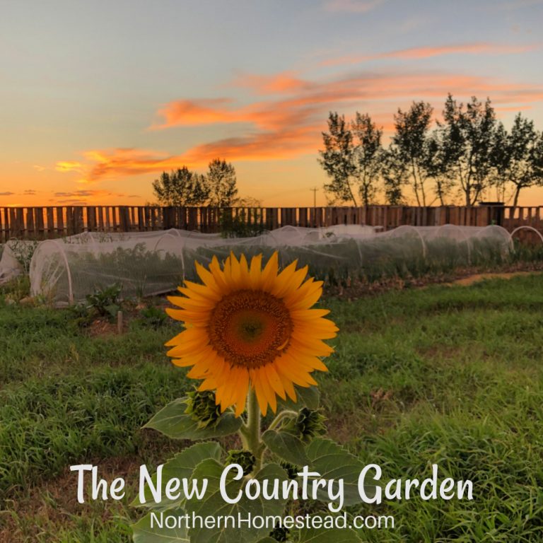 The New Country Garden - Northern Homestead