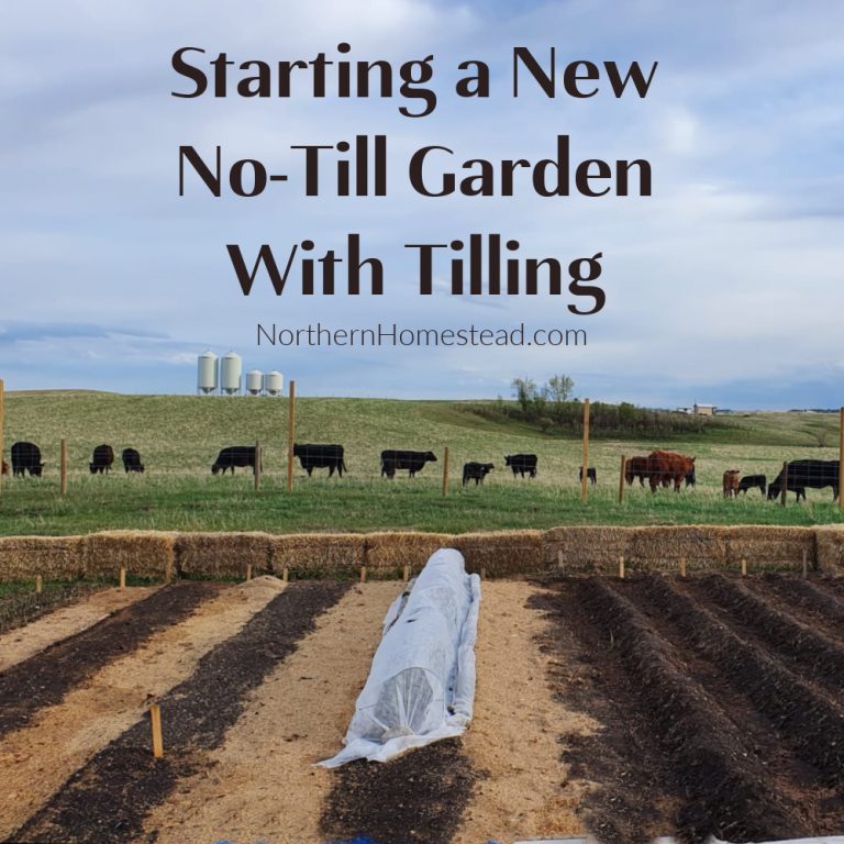 No-Till Gardening Methods to Start a New Garden - Northern Homestead