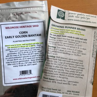 Early spring direct garden planting - Northern Homestead