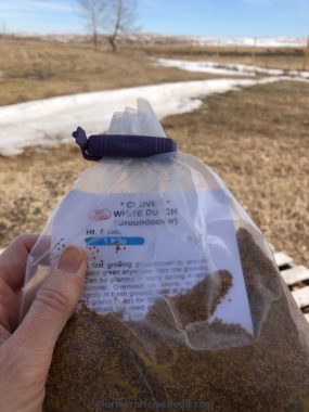 Early spring direct garden planting - Northern Homestead