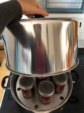 Transform Your Canning Experience with a Steam Canner - Northern Homestead