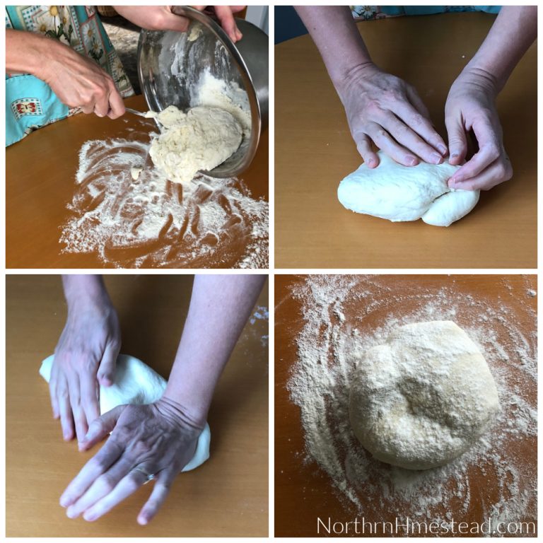 Steamed Butternut Squash Dumplings Recipe - Northern Homestead