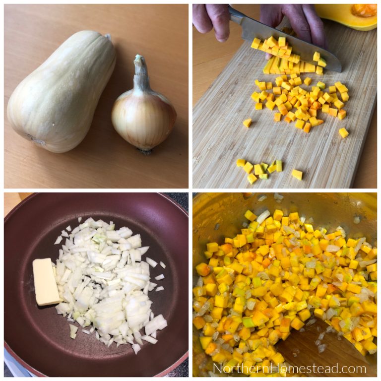 Steamed Butternut Squash Dumplings Recipe - Northern Homestead