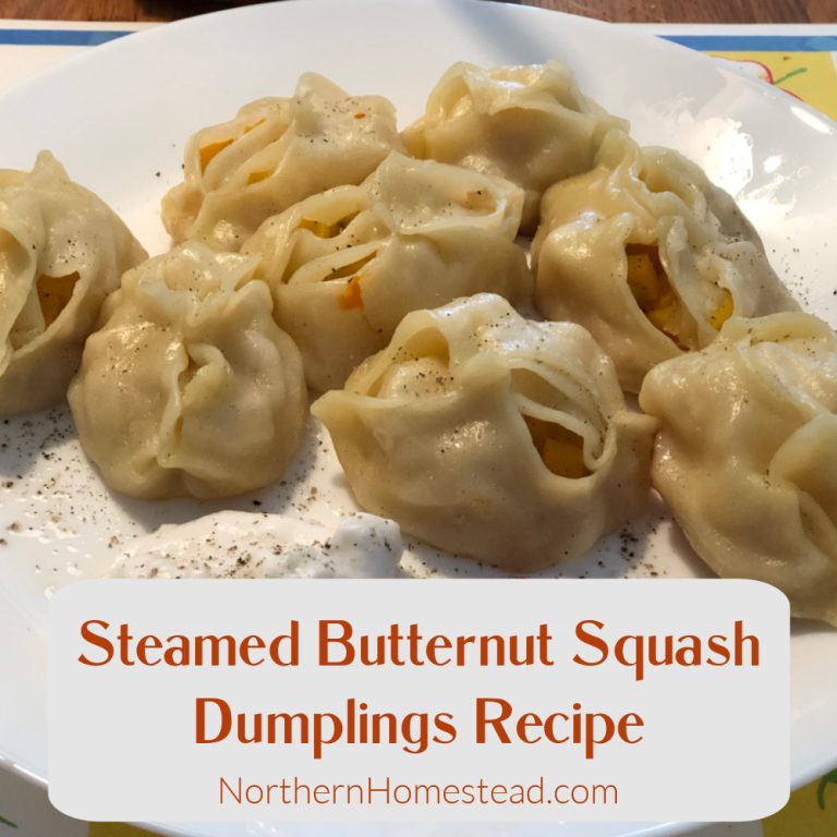 Steamed Butternut Squash Dumplings Recipe - Northern Homestead